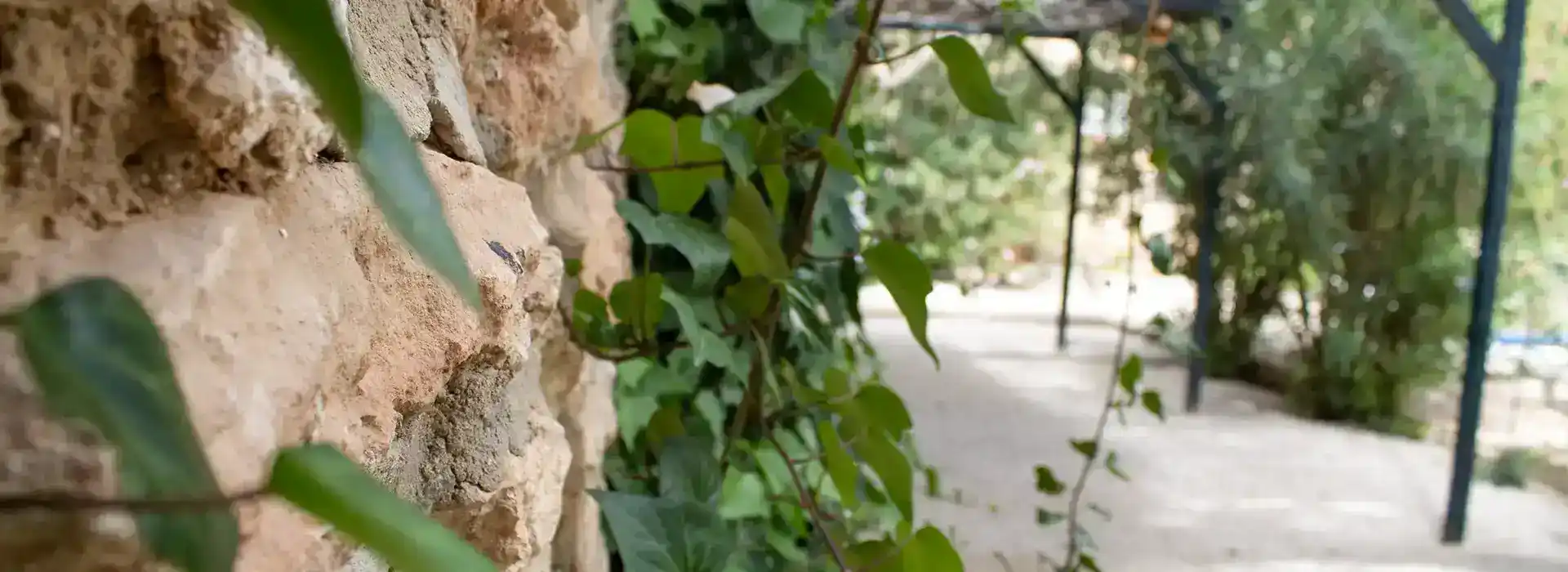 Mixing MDMA and Alcohol: Risks and Side Effects